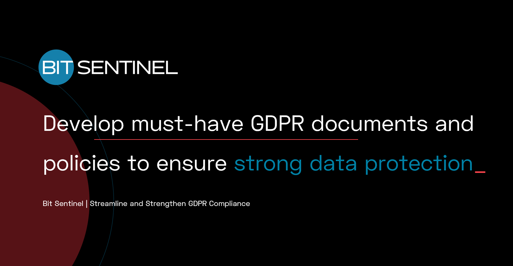 Streamline and Strengthen GDPR Compliance - Bit Sentinel