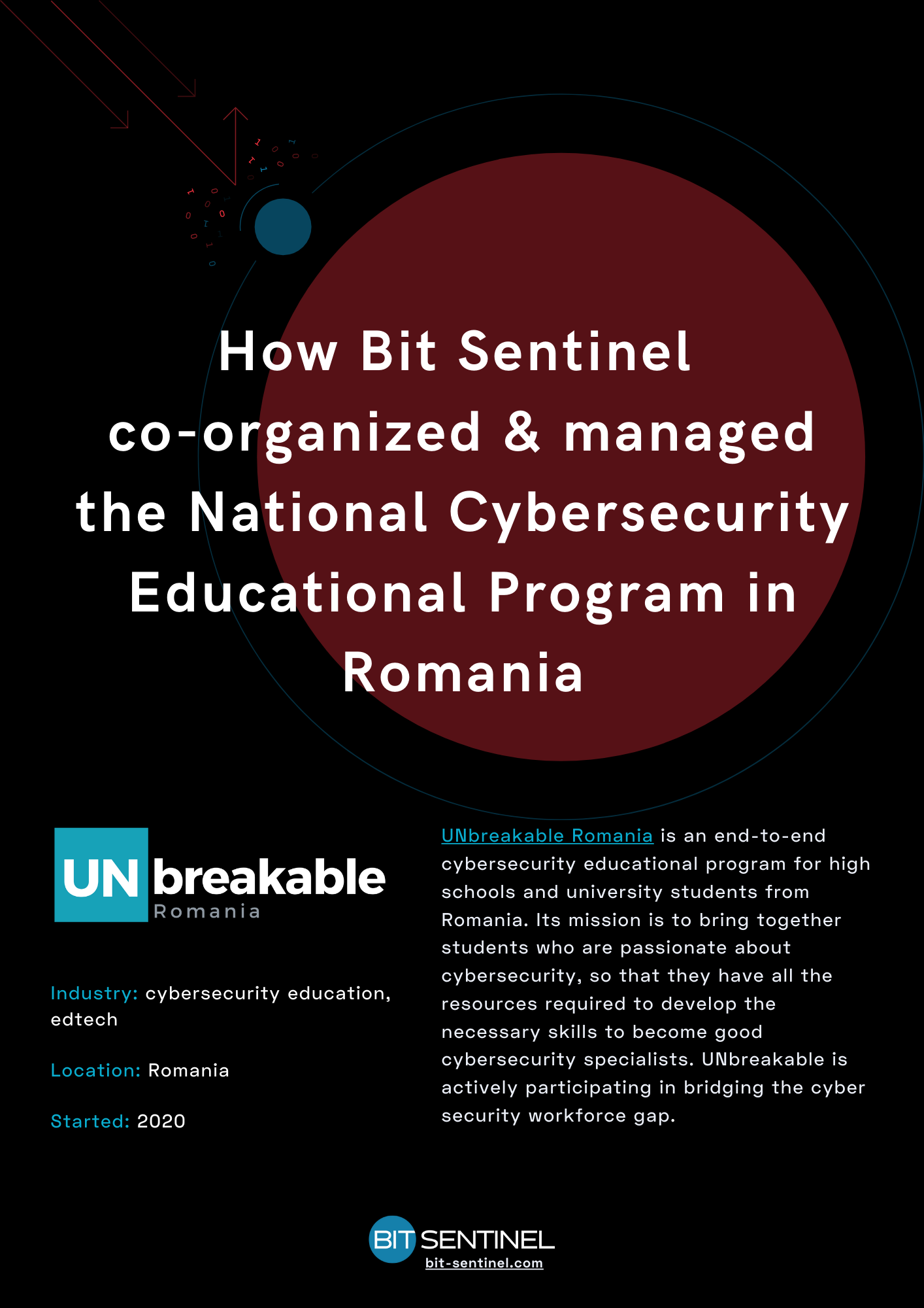 Cybersecurity case studies and testimonials - Bit Sentinel